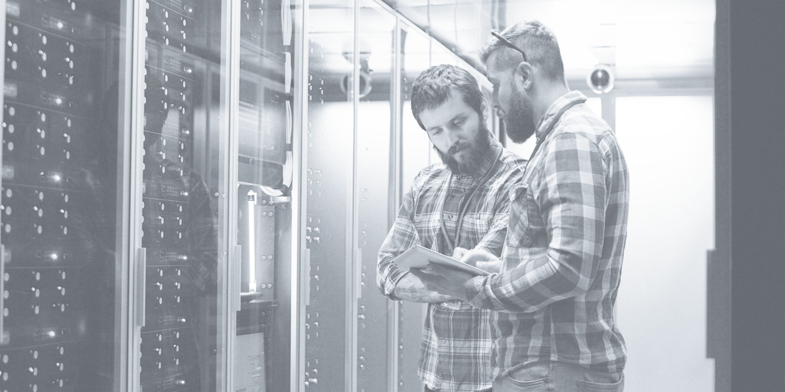 Acasa - Bento - Intellectually Curios